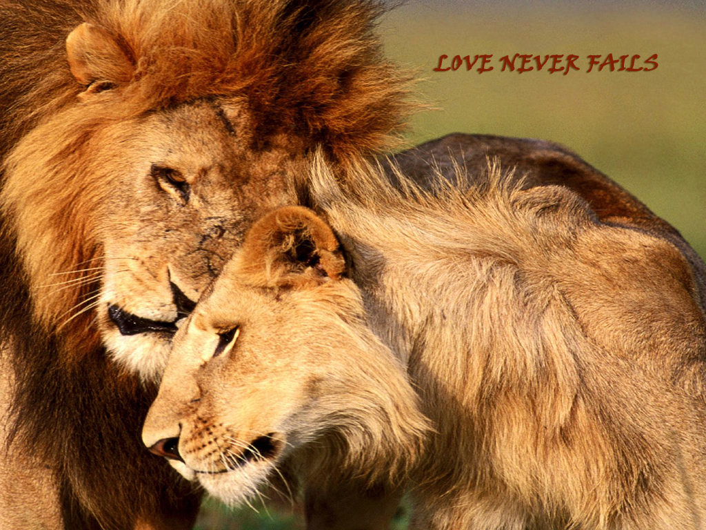 Loving! | Christian Wallpapers