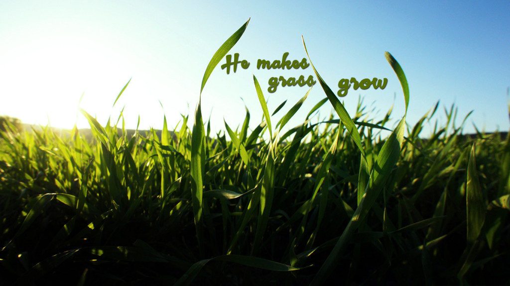 He Makes Grow! | Christian Wallpapers