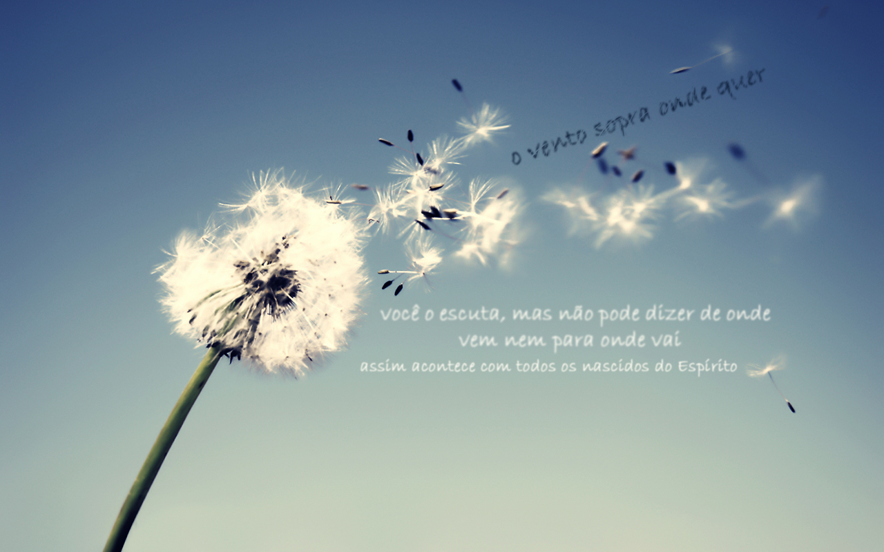 O Vento | Wallpapers Cristãos